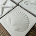 Seashell Porcelain Tile 3/4/6inch 7.6/10/15.25cm-starfish Tile-scallop ...