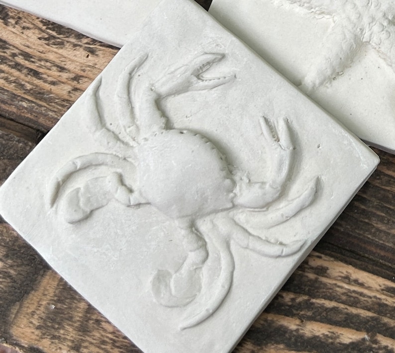 Seashell Porcelain Tile 3/4/6inch 7.6/10/15.25cm-starfish Tile-scallop ...