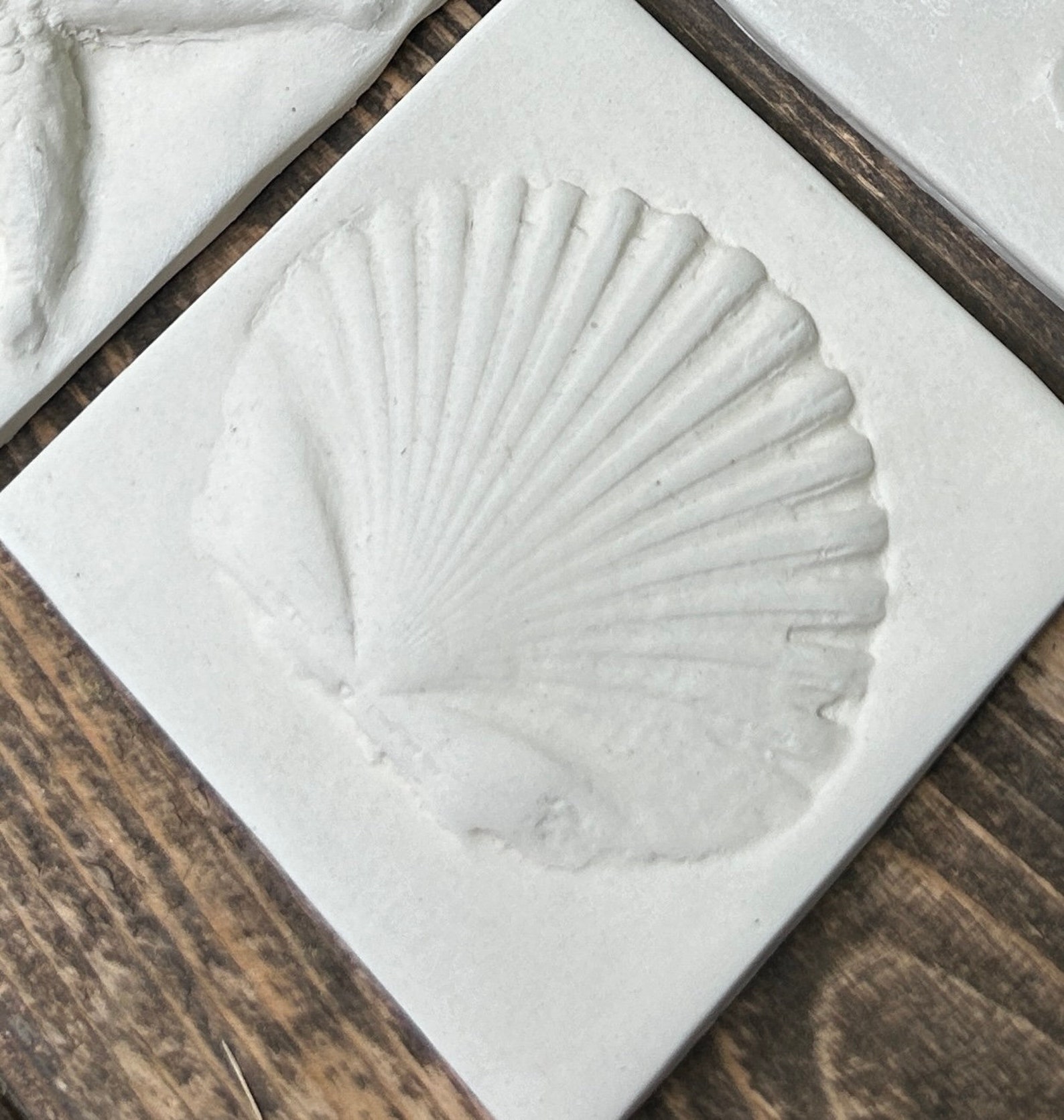 Seashell Porcelain Tile 3/4/6inch 7.6/10/15.25cm-starfish Tile-scallop ...