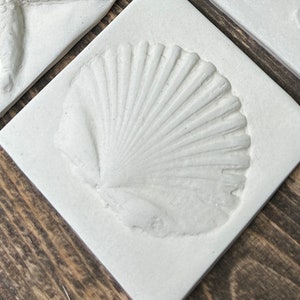 Seashell Porcelain Tile 3/4/6inch 7.6/10/15.25cm-starfish Tile-scallop ...