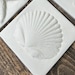 Seashell Porcelain Tile 3/4/6inch 7.6/10/15.25cm-starfish Tile-scallop ...