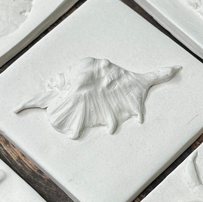 Seashell Porcelain Tile 3/4/6inch 7.6/10/15.25cm-starfish Tile-scallop ...