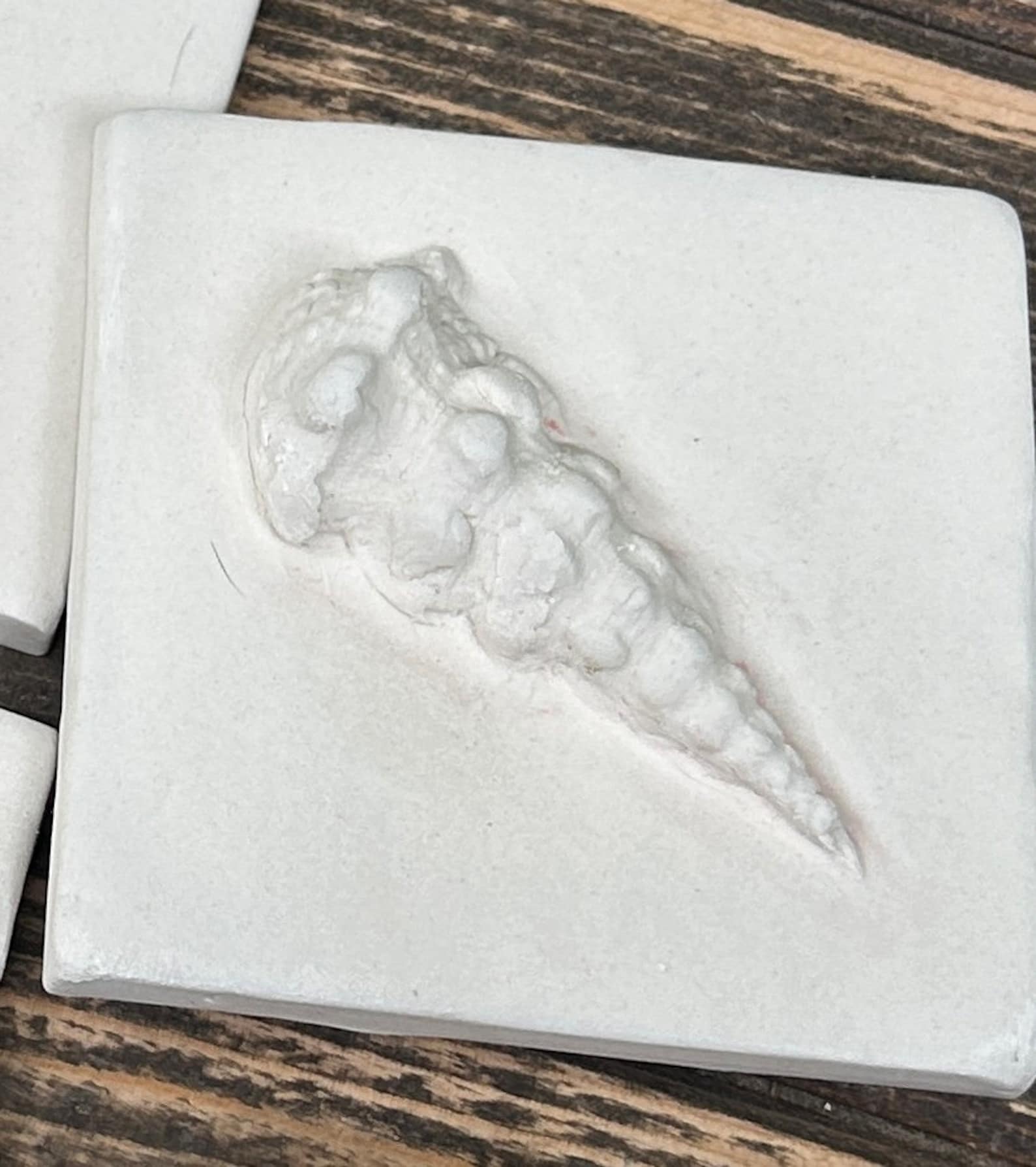 Seashell Porcelain Tile 3/4/6inch 7.6/10/15.25cm-starfish Tile-scallop ...