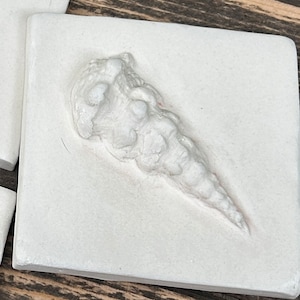 Seashell Porcelain Tile 3/4/6inch 7.6/10/15.25cm-starfish Tile-scallop ...