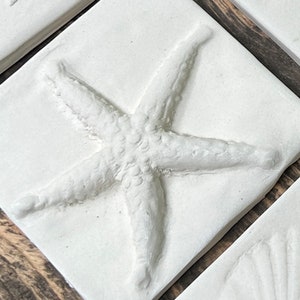 Seashell Porcelain Tile 3/4/6inch 7.6/10/15.25cm-starfish Tile-scallop ...