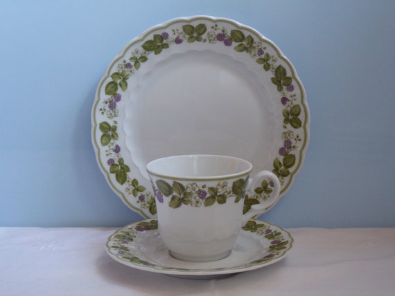 Vintage Coffee Tea Set Eschenbach Blackberry Porcelain Coffee - Etsy