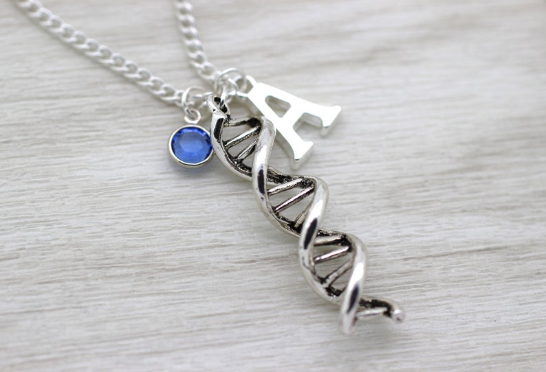 DNA Helix Necklace, Family Necklace, DNA Gift, Science Gift, Biology ...