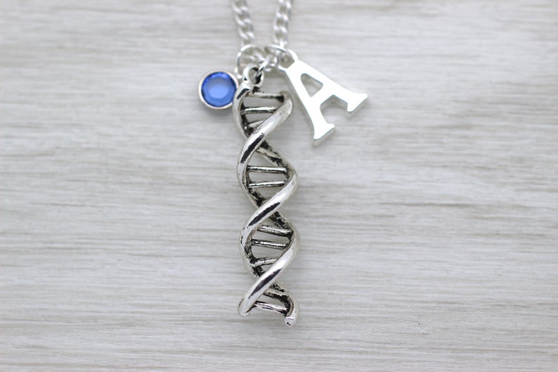 DNA Helix Necklace, Family Necklace, DNA Gift, Science Gift, Biology ...