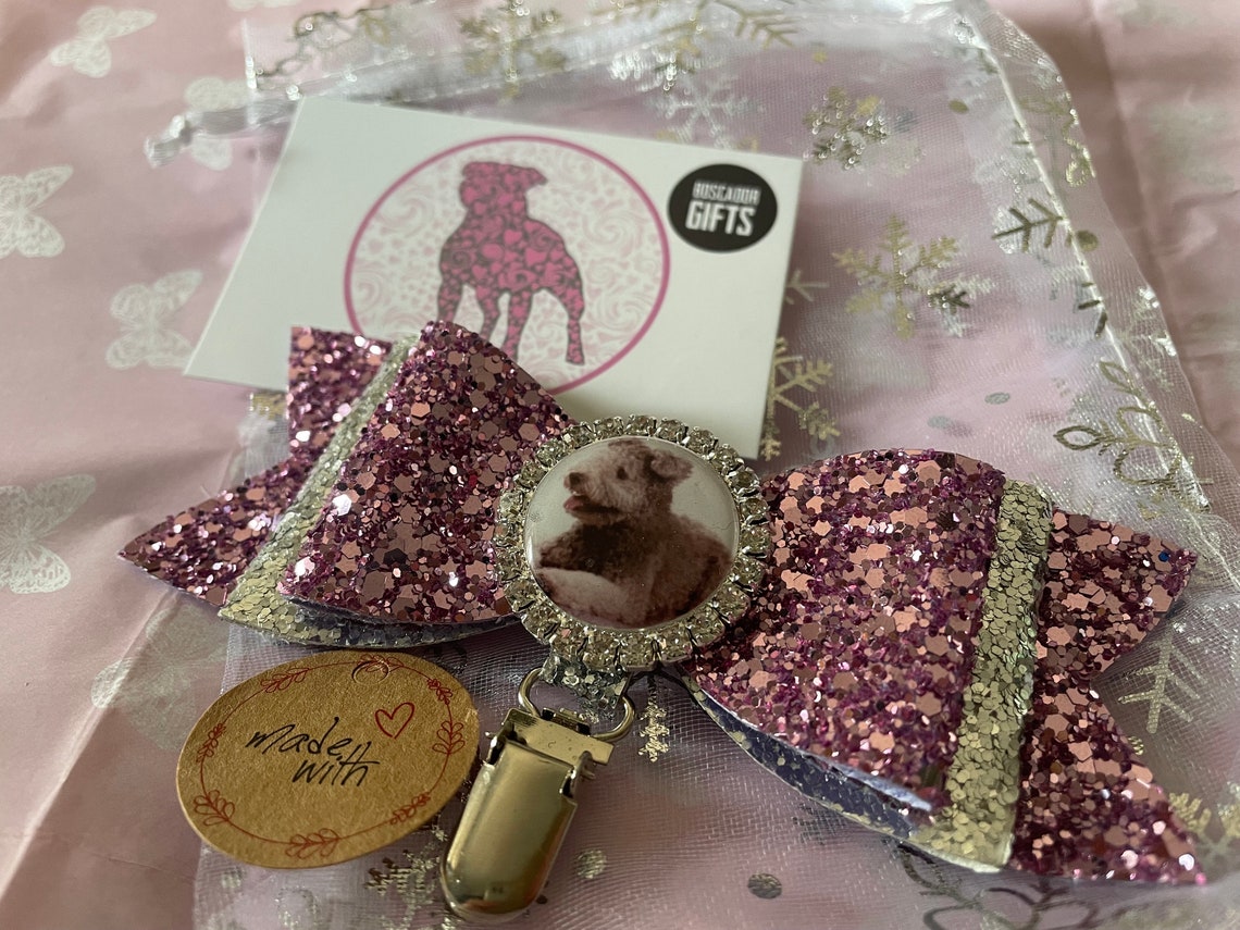 Dog Show Ring Clip Exhibitor Number Holder, Sparkly Bow Design With Pin ...