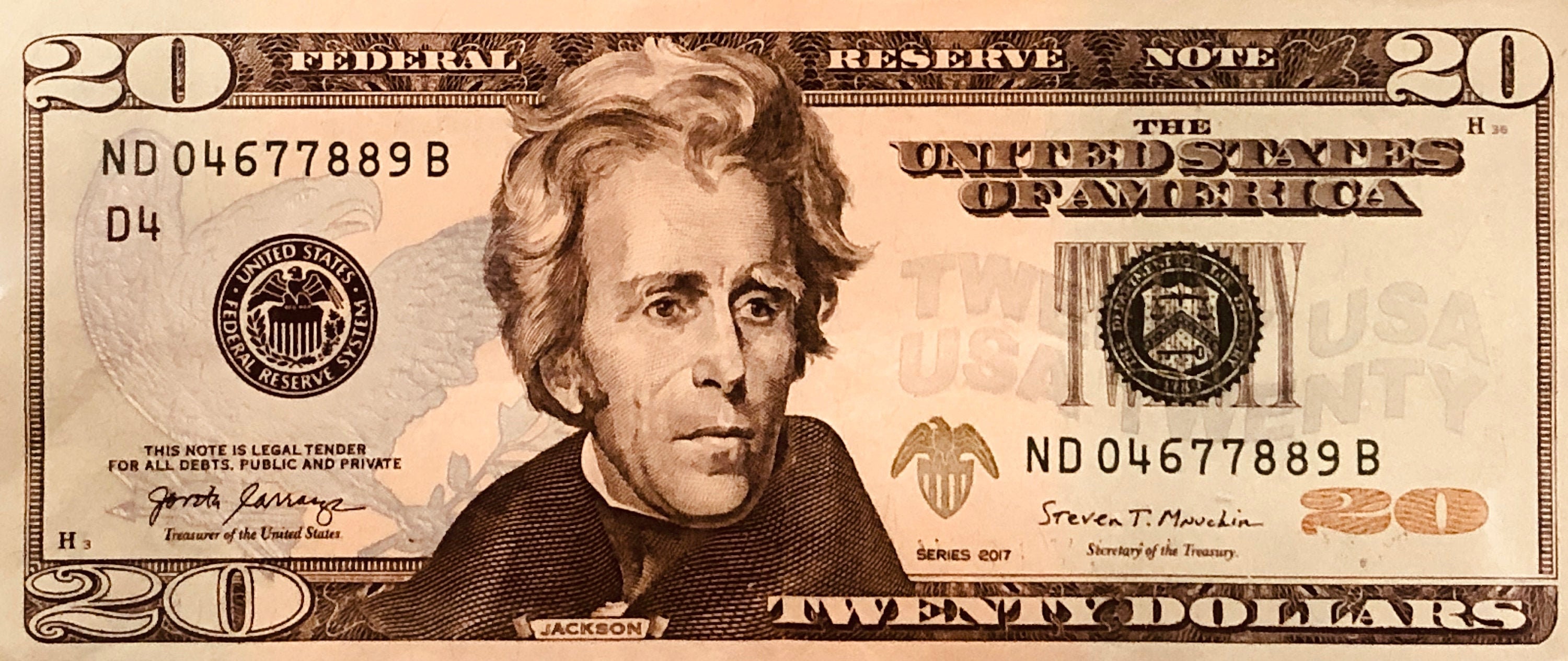 Twenty dollar bills store