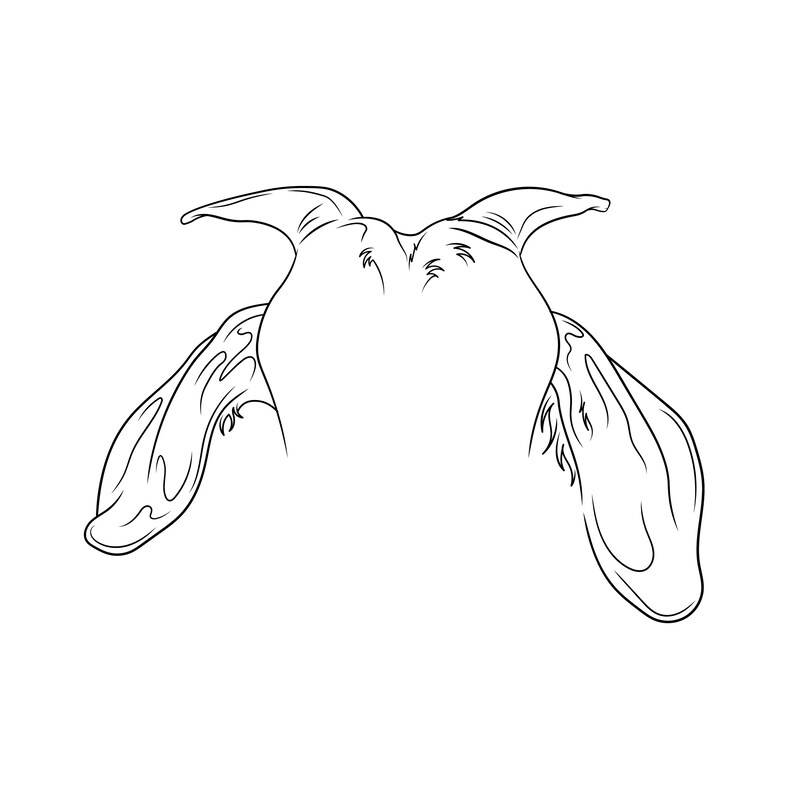 Doodle Dog Ears Line Drawing DIGITAL Minimalist Illustration - Etsy