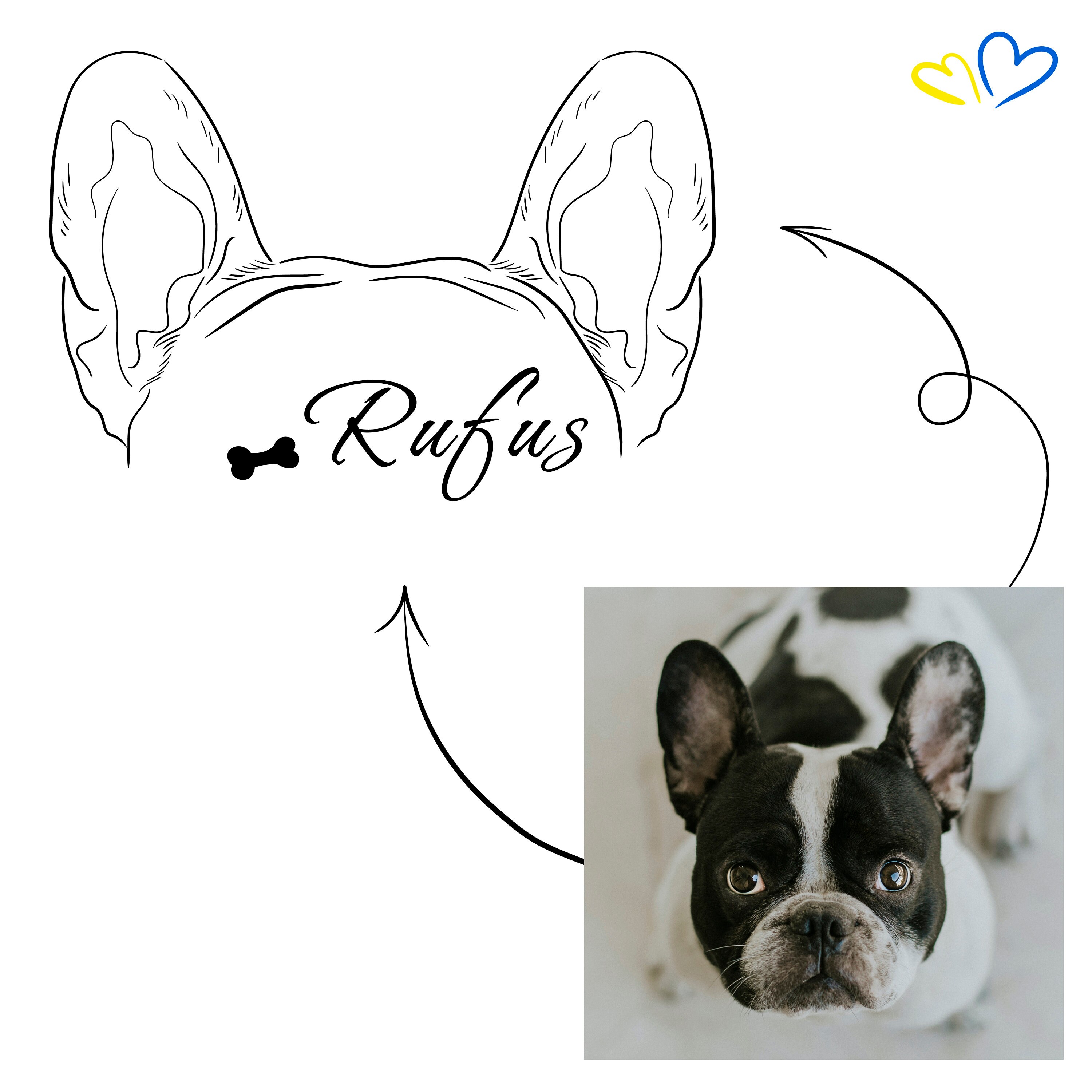 Dog Ears Outline Custom Line Drawing DIGITAL Dog Outline Svg - Etsy