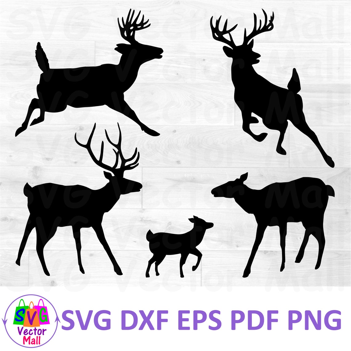 Deer Family SVG, Deer Svg, Stag, Buck Svg, Doe Svg, Fawn, Whitetail ...