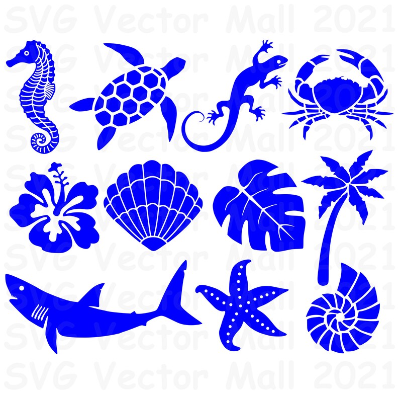 Beach SVG Bundle, Tropical Clipart, Seahorse, Seashells, Shark SVG ...