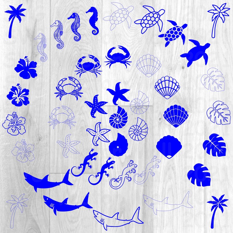 Beach SVG Bundle, Tropical Clipart, Seahorse, Seashells, Shark SVG ...