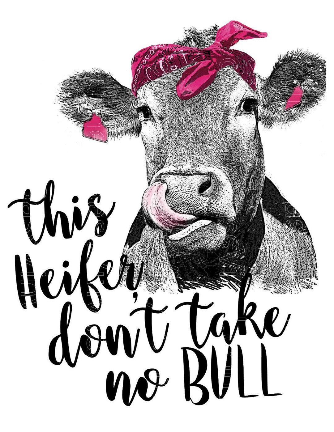 Take No Bull -full Color Heat Transfer, Sublimation, Laser Transfer ...