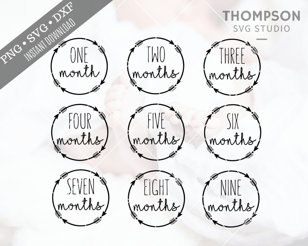 Baby Months 1-12 SVG Bundle, Monthly Milestone Cut File, PNG, DXF ...