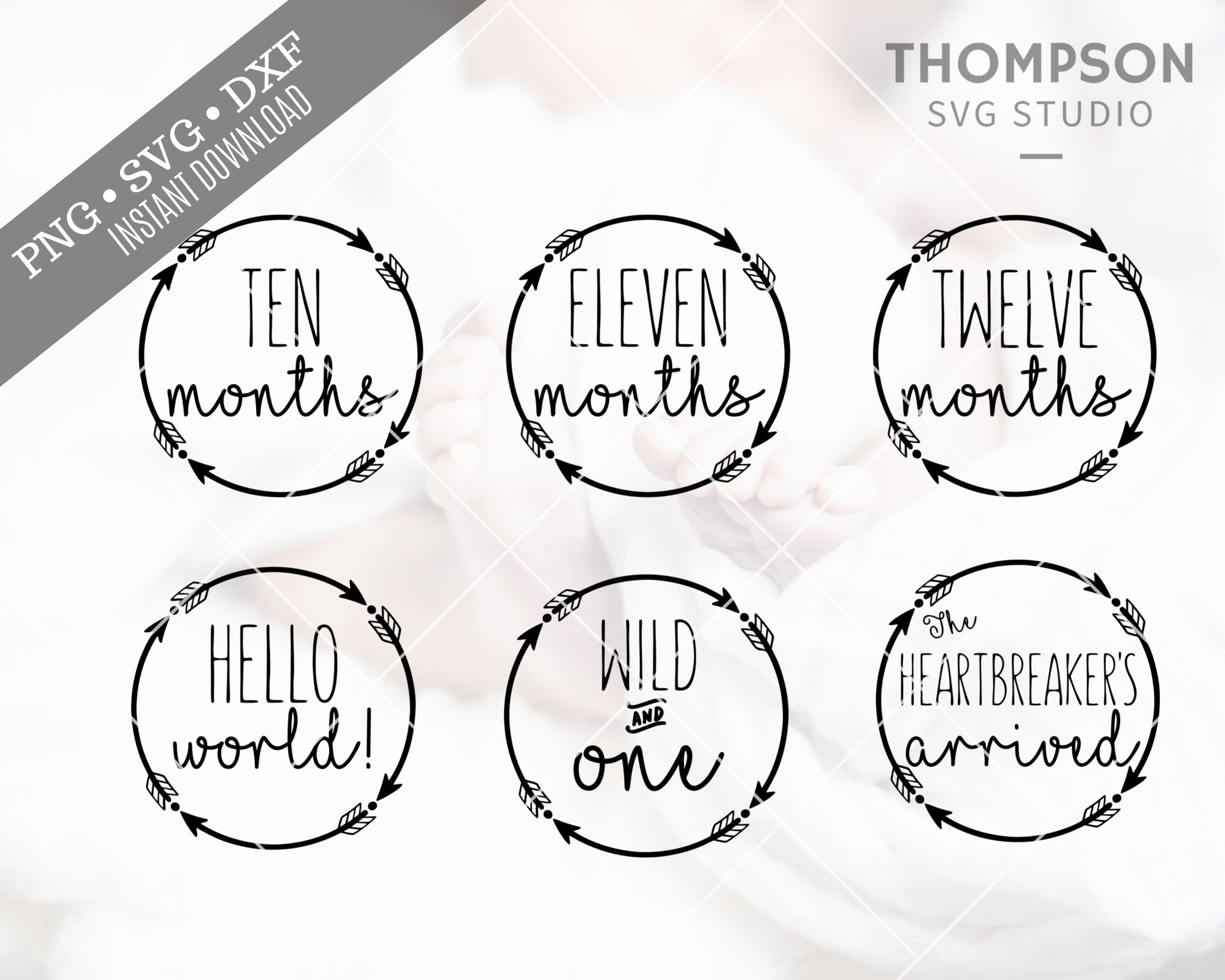 Baby Months 1-12 SVG Bundle, Monthly Milestone Cut File, PNG, DXF ...