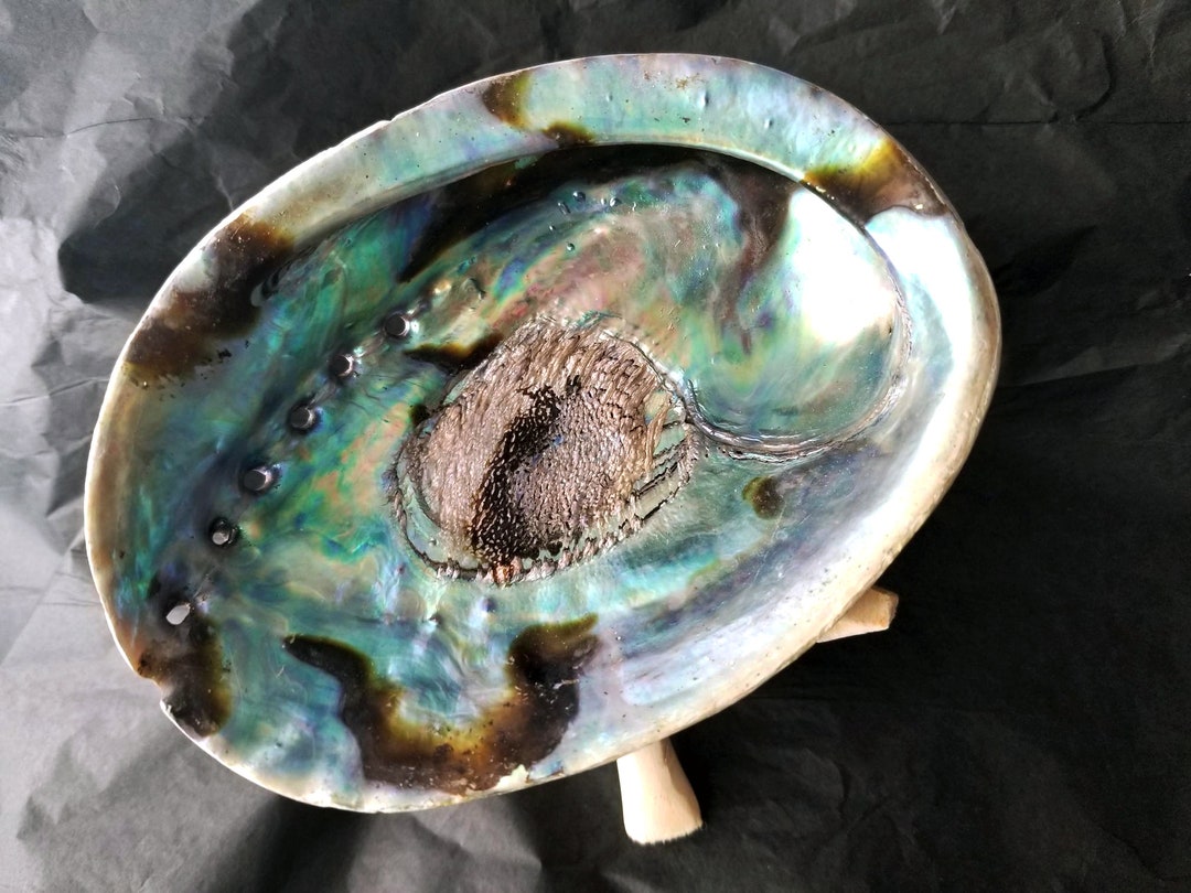 Abalone Shell Sage Smudge Shell Seashell Incense Burner Wooden Tripod ...