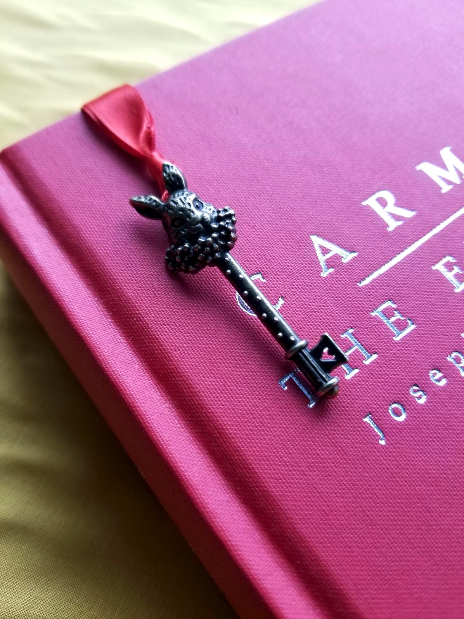 Skeleton Key Bookmark, Alice in Wonderland Key Bookmark, Bronze Key ...
