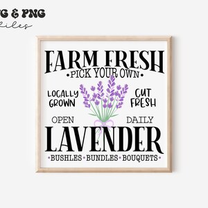 Lavender Sign SVG Bundle, Farmhouse Festival Svg, Summer Sign SVG, Farm ...
