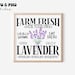 Lavender Sign SVG Bundle, Farmhouse Festival Svg, Summer Sign SVG, Farm ...