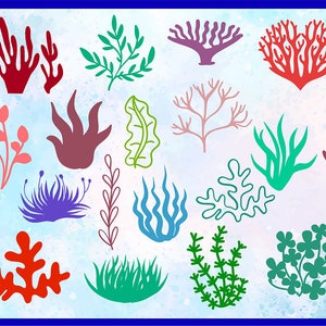 Coral Svg,seaweed Svg,under the Sea Svg,under the Sea Plants Svg,sea ...