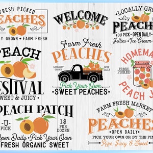 Peach Sign SVG Bundle, Peach Quote Svg Set, Just Peachy Svg, Fresh ...