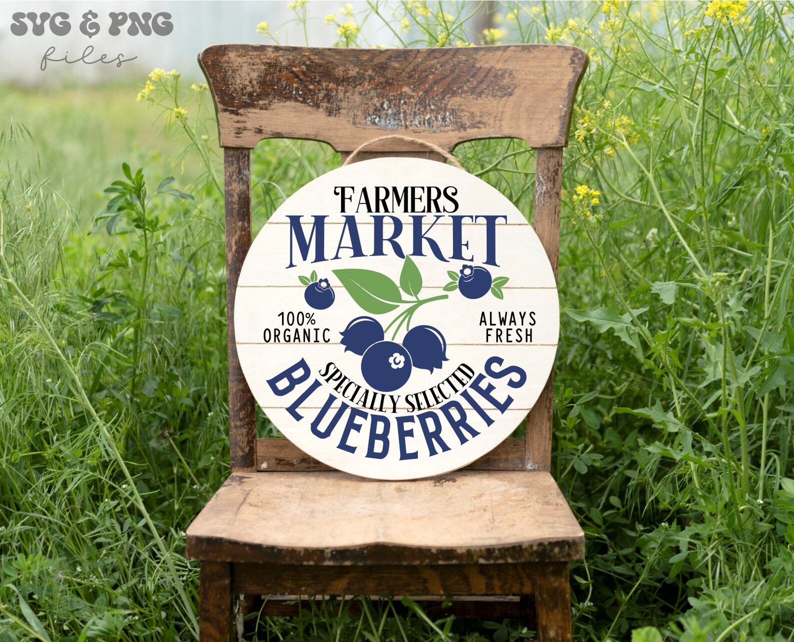 Blueberry Sign SVG Bundle, Farm Fresh Blueberries Svg, Local Blueberry ...