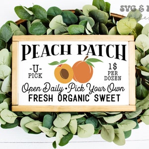 Peach Sign SVG Bundle, Peach Quote Svg Set, Just Peachy Svg, Fresh ...