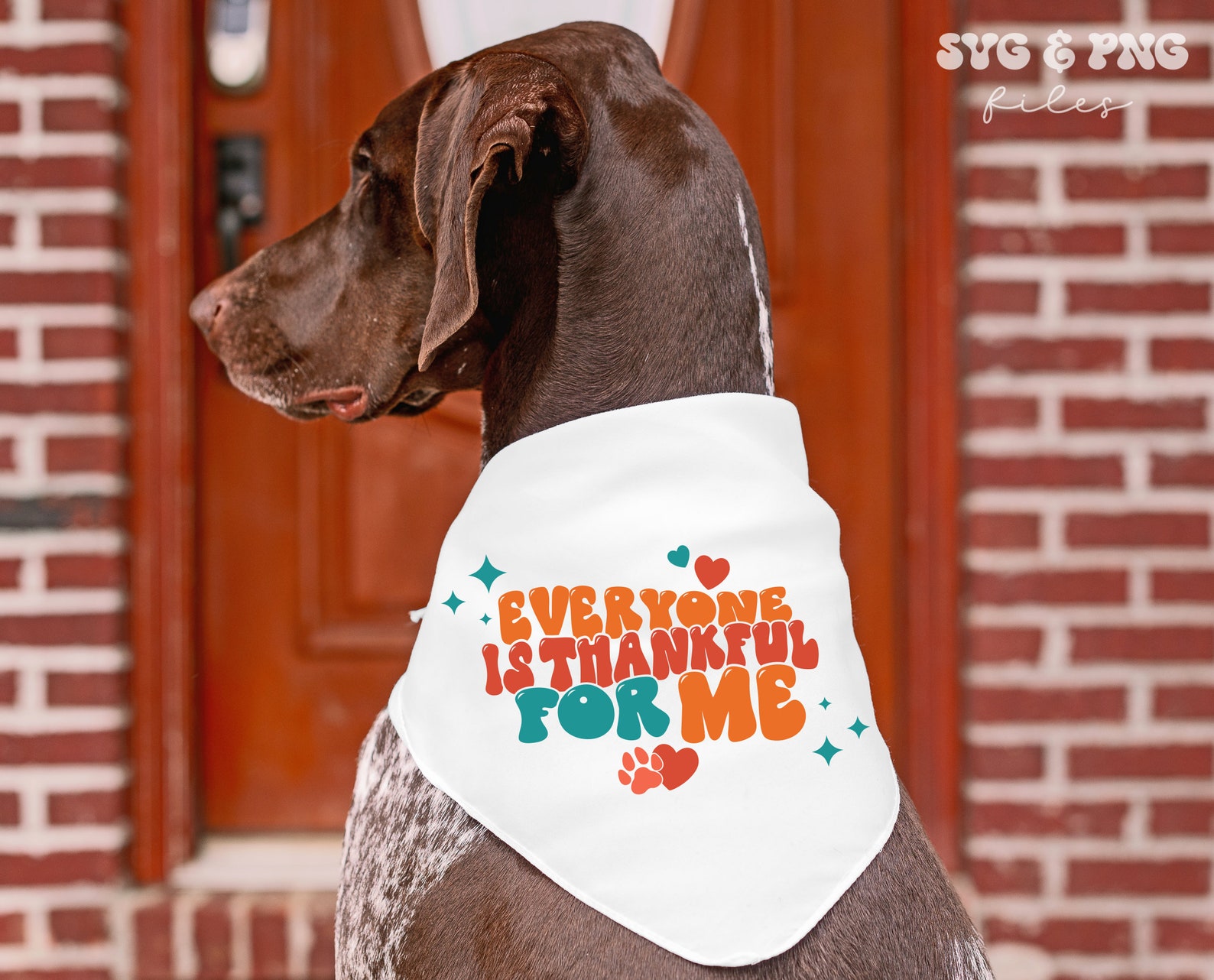 Thanksgiving Dog Bandala Svg, Thanksgiving Dog Svg Bundle, Thanksgiving ...