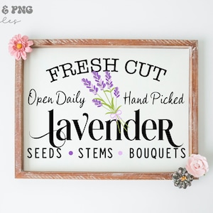 Lavender Sign SVG Bundle, Farmhouse Festival Svg, Summer Sign SVG, Farm ...