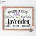Lavender Sign SVG Bundle, Farmhouse Festival Svg, Summer Sign SVG, Farm ...