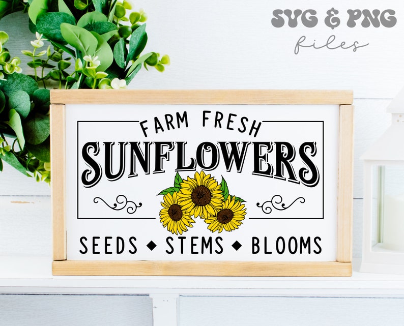 Sunflower Sign SVG Bundle, Sunflower Quotes Svg, Farmers Market Svg Set ...