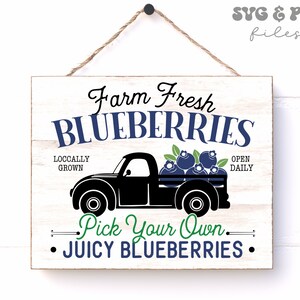 Blueberry Sign SVG Bundle, Farm Fresh Blueberries Svg, Local Blueberry ...