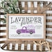 Lavender Sign SVG Bundle, Farmhouse Festival Svg, Summer Sign SVG, Farm ...