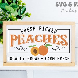 Peach Sign SVG Bundle, Peach Quote Svg Set, Just Peachy Svg, Fresh ...