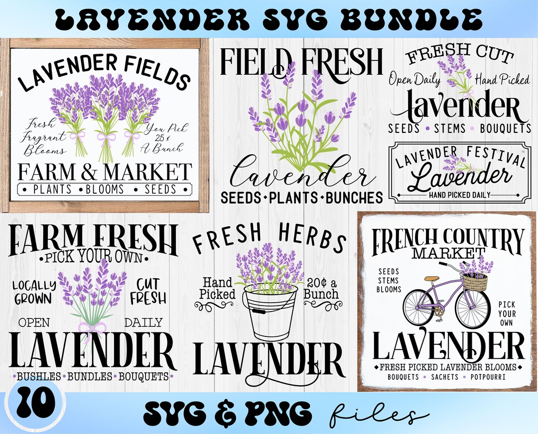 Lavender Sign SVG Bundle, Farmhouse Festival Svg, Summer Sign SVG, Farm ...