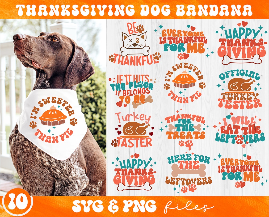 Thanksgiving Dog Bandala Svg Thanksgiving Dog Svg Bundle - Etsy