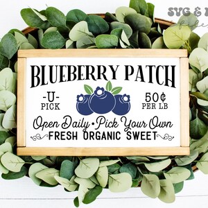 Blueberry Sign SVG Bundle, Farm Fresh Blueberries Svg, Local Blueberry ...
