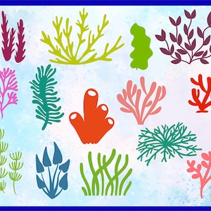Coral Svg,seaweed Svg,under the Sea Svg,under the Sea Plants Svg,sea ...