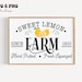 Lemon Sign SVG Bundle, Lemonade Stand Sign Svg, Fresh Lemons Svg ...
