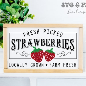 Strawberry Sign Svg Bundle, Farm Fresh Strawberries Svg, Farmhouse ...