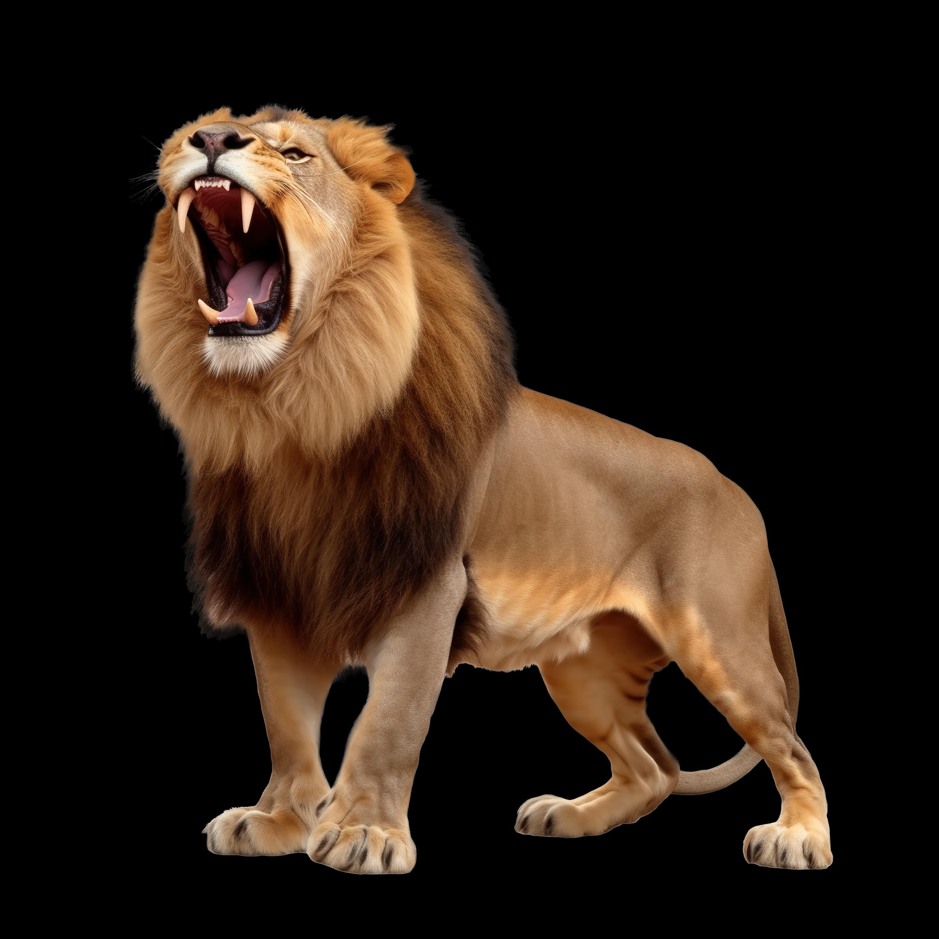 Lions Angry Png, 9 High Quality PNG Format Resolution Images at 300DPI ...