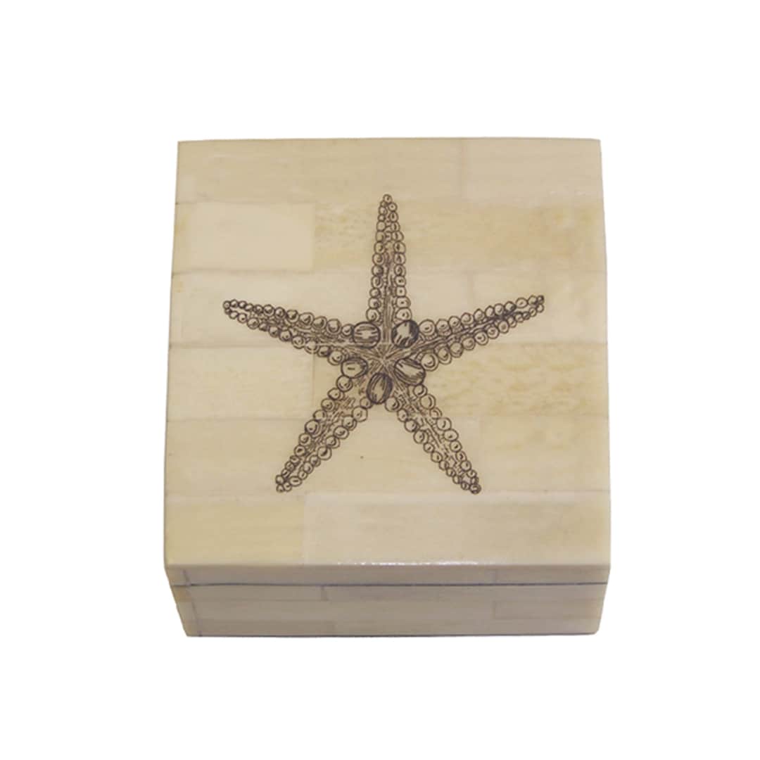 3-1/4" Sea Star Starfish Etched Scrimshaw Trinket Box, Nautical Decor ...