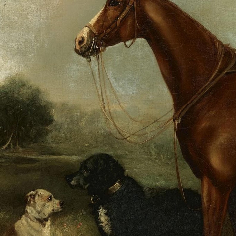 Chestnut Horse With Two Dogs Framed Canvas Print, Equestrian Wall Art ...