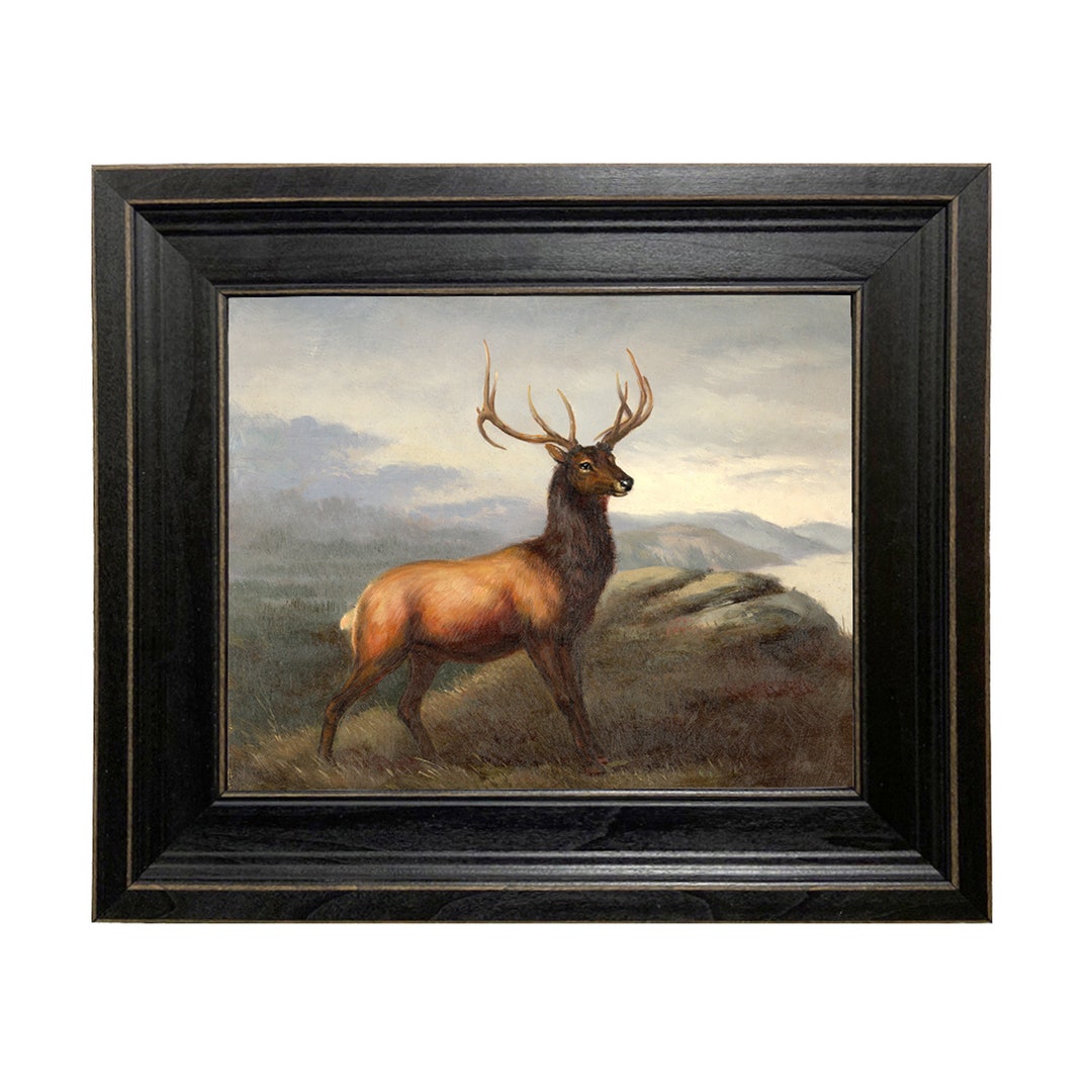 Stag Framed Canvas Print, Hunting Cabin Lodge Decor, Black Wood Frame ...