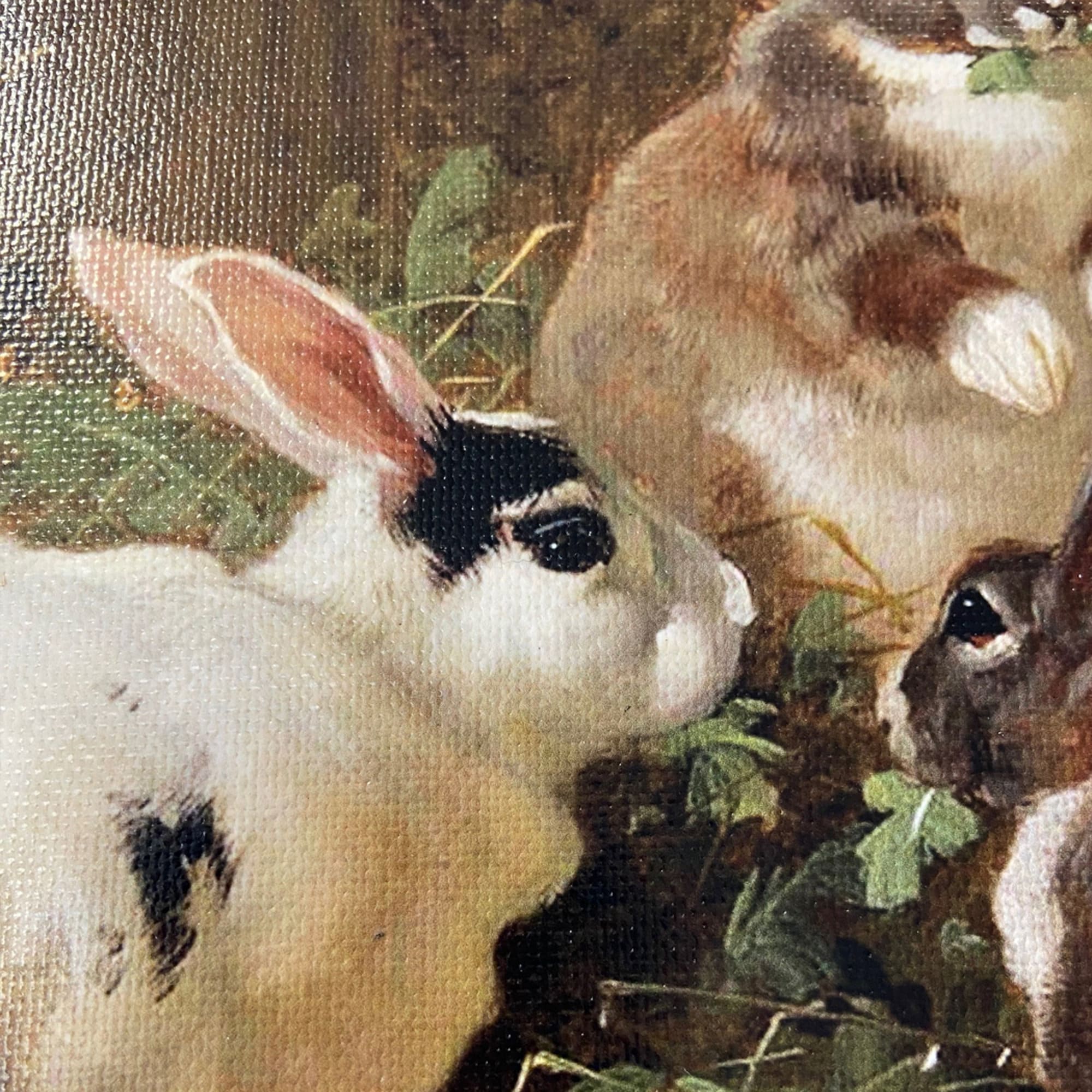 Three Rabbits Oil Painting Print Reproduction on Canvas in Distressed ...