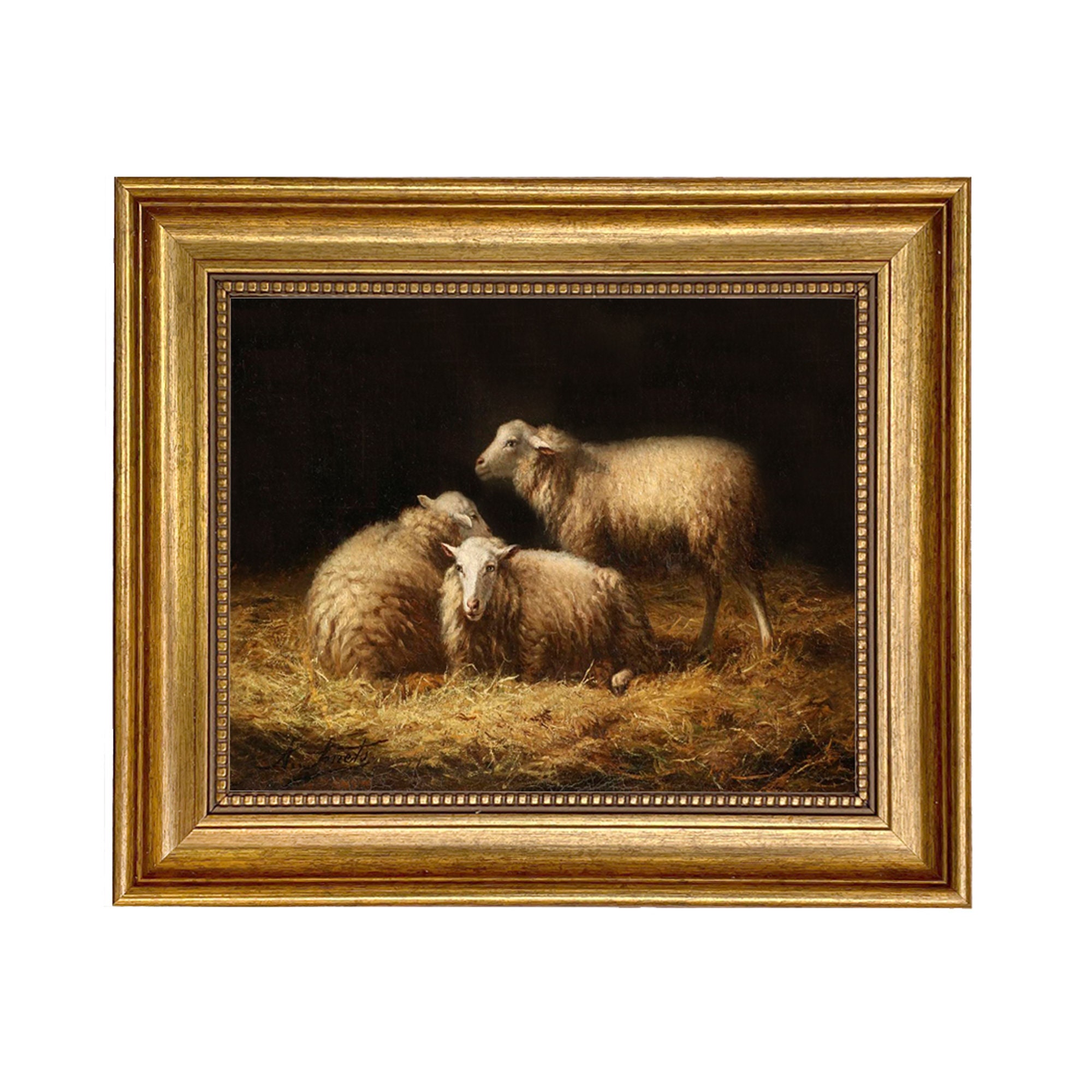 Sheep Oil Painting