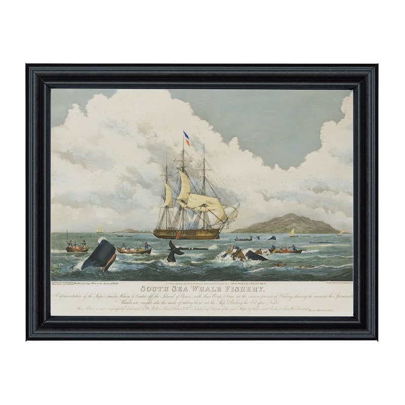 Thomas Whales - Etsy